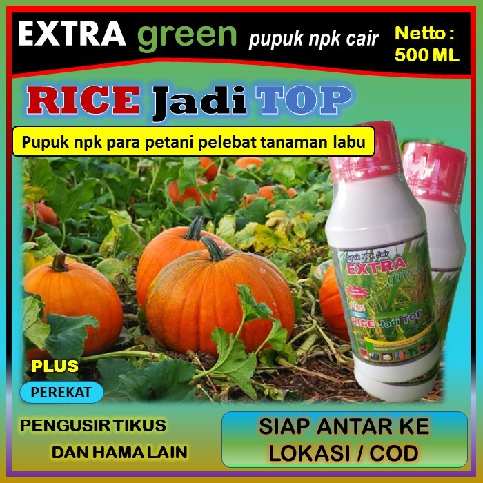 Jual Pupuk tanaman labu npk cair lengkap ( EKTRA GREEN RICE jadi TOP ) 500 ml - pupuk penyubur ...
