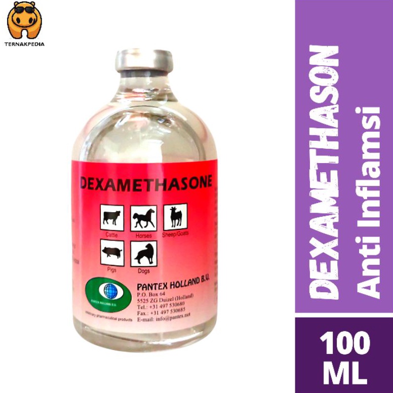 Jual PALING DIMINATI Dexametason injeksi 1ml Anti Inflamasi dexa 1ml ...