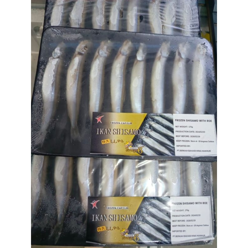 Jual Ikan Capelin Shisamo isi 8 | Shopee Indonesia