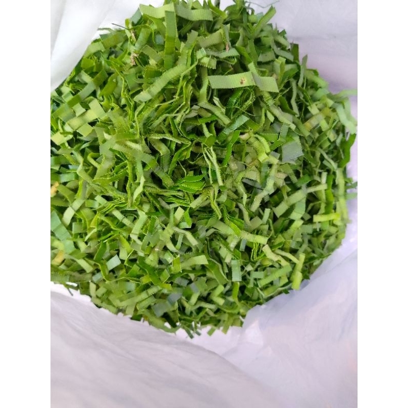 Jual Daun Pandan utuh/Daun Pandan iris | Shopee Indonesia