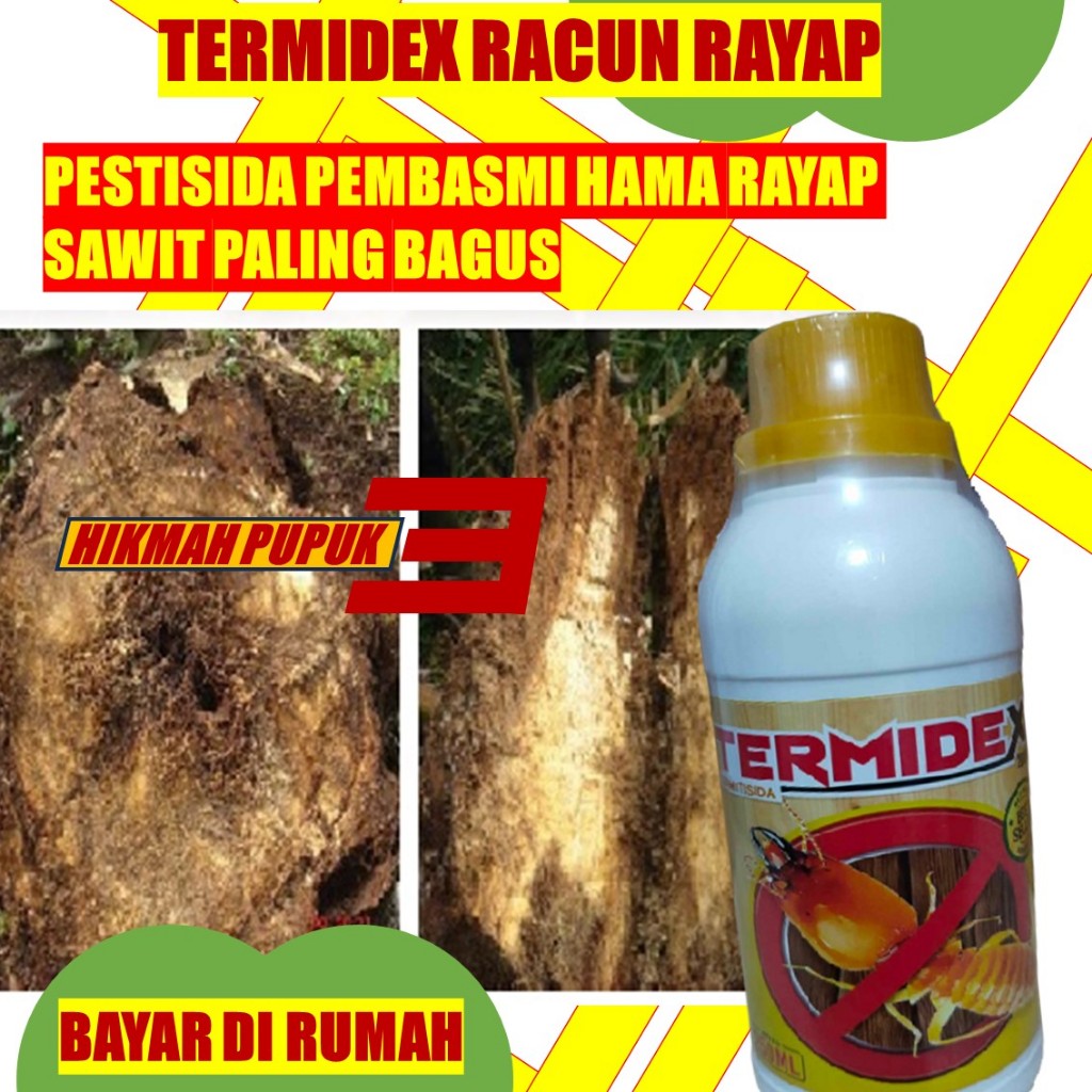 Jual RACOON HAMA RAYAP DI TANAMAN SAWIT 250 ML TERMIDEX MURAH ...