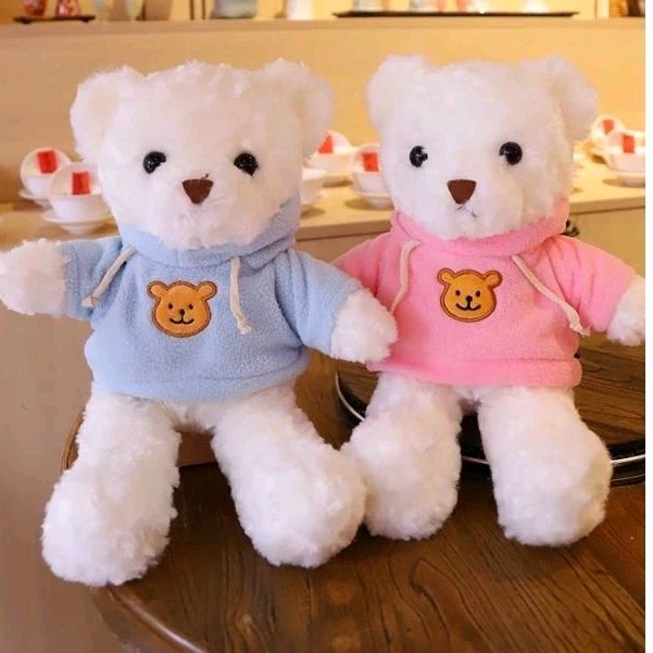 Jual Boneka Beruang Hoodie Pink Biru - boneka ultah ulangtahun kado ...