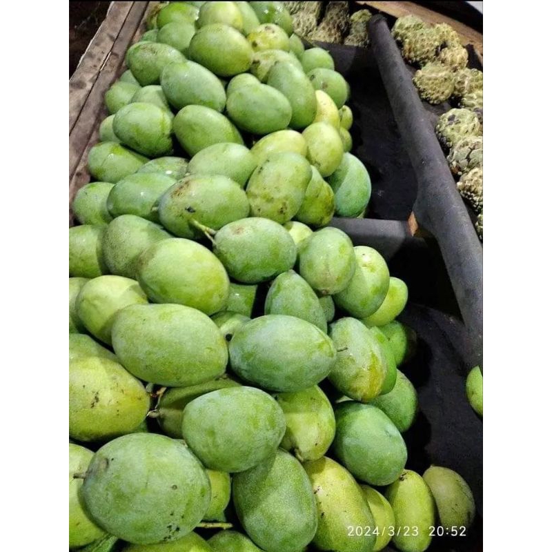 Jual Rujak Mangga 1kg | Shopee Indonesia