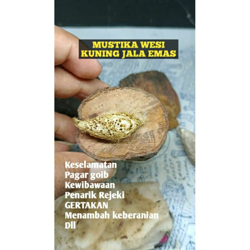 Jual Mustikaa Wesi Kuning Jala Sutra emas | Shopee Indonesia