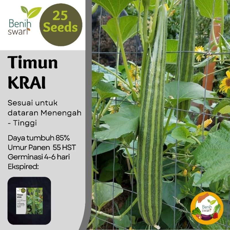 Jual Benih Swari: (isi 25 butir) Benih Mentimun / Timun KRAI | Shopee Indonesia