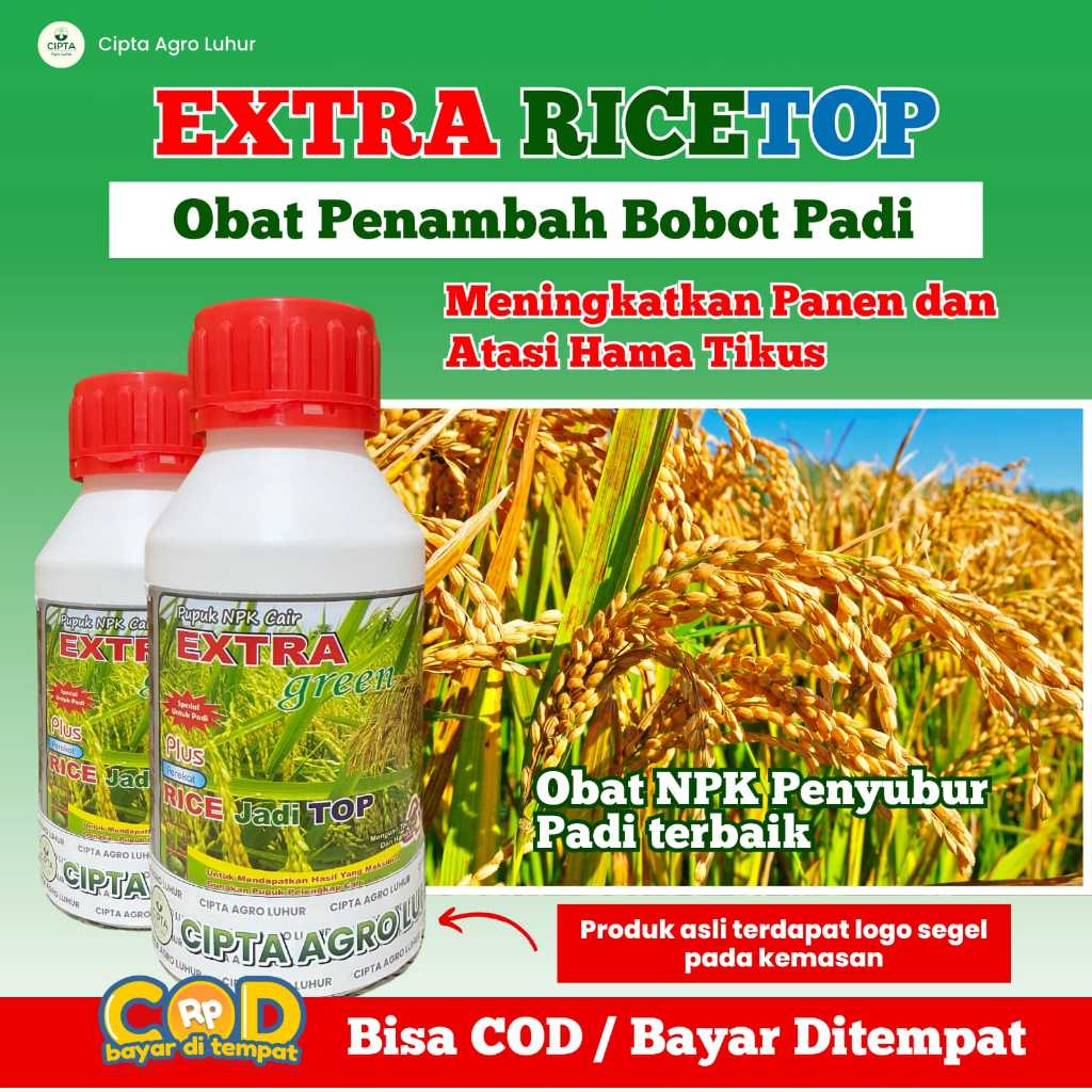 Jual SPESIALIS PADI Obat Penambah Bobot Padi EXTRA RICETOP - Booster Padi Besar Buah dan Berat ...