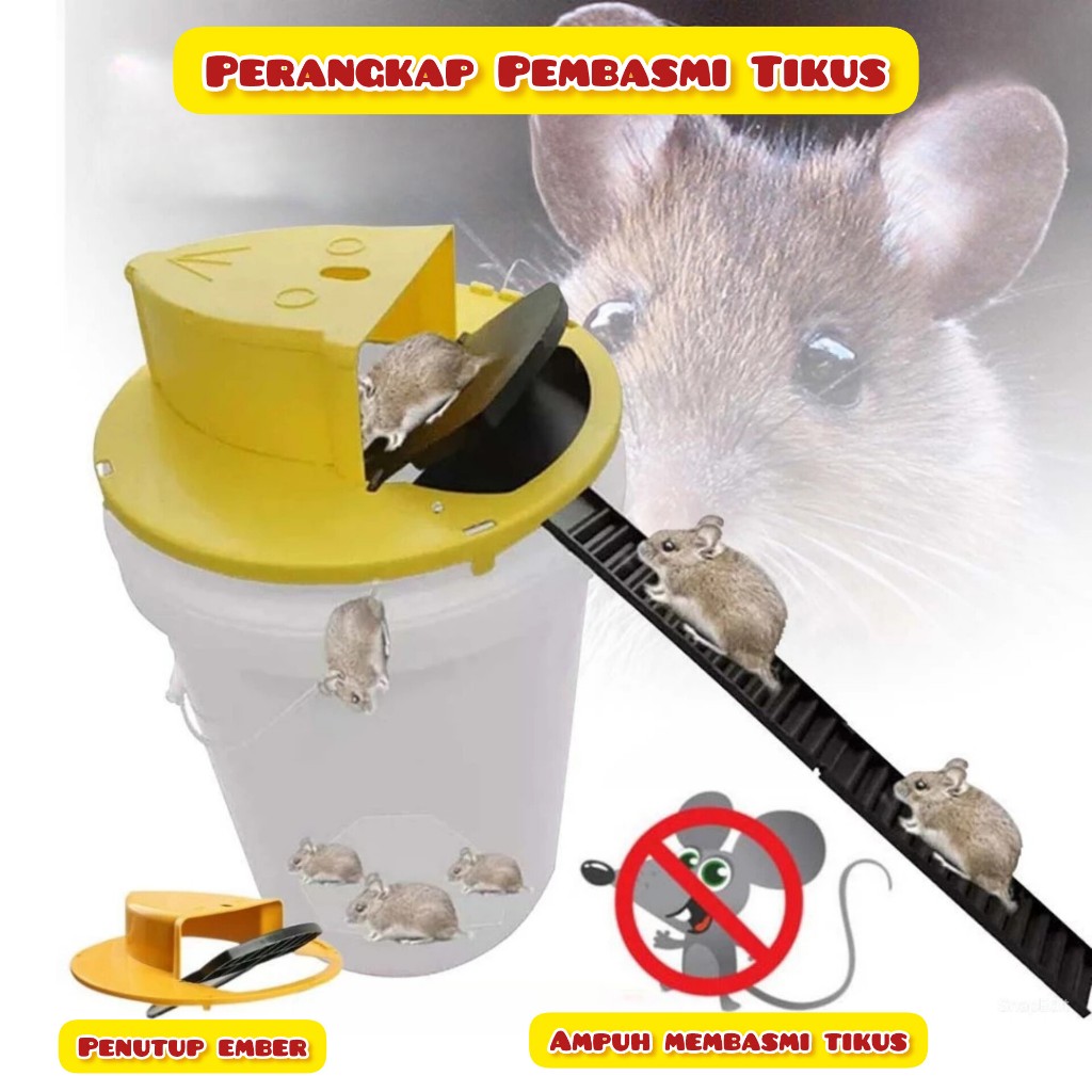 Jual Perangkap Pembasmi Tikus Jebakan Tikus Ember Mouse Trap Flip Slide ...