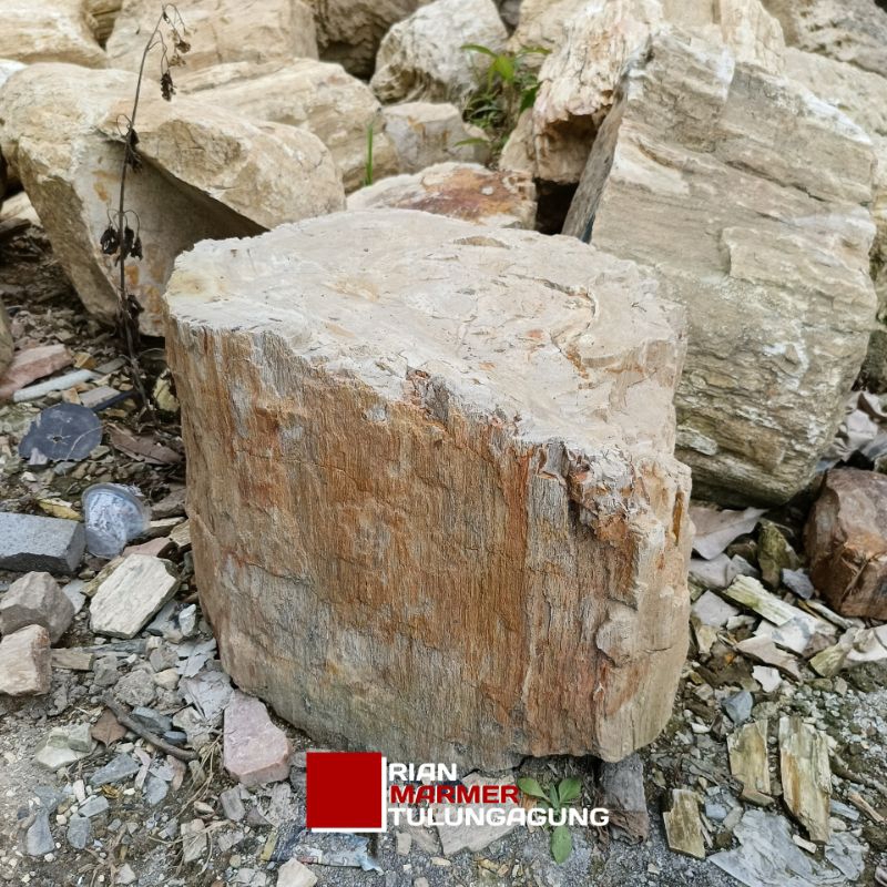 Jual Hiasan Batu Taman Natural Batu Alam Fosil Kayu Diameter 30cm ...