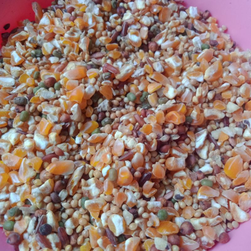 Jual Jagung Campur pakan Puter Derkuku Merpati | Shopee Indonesia