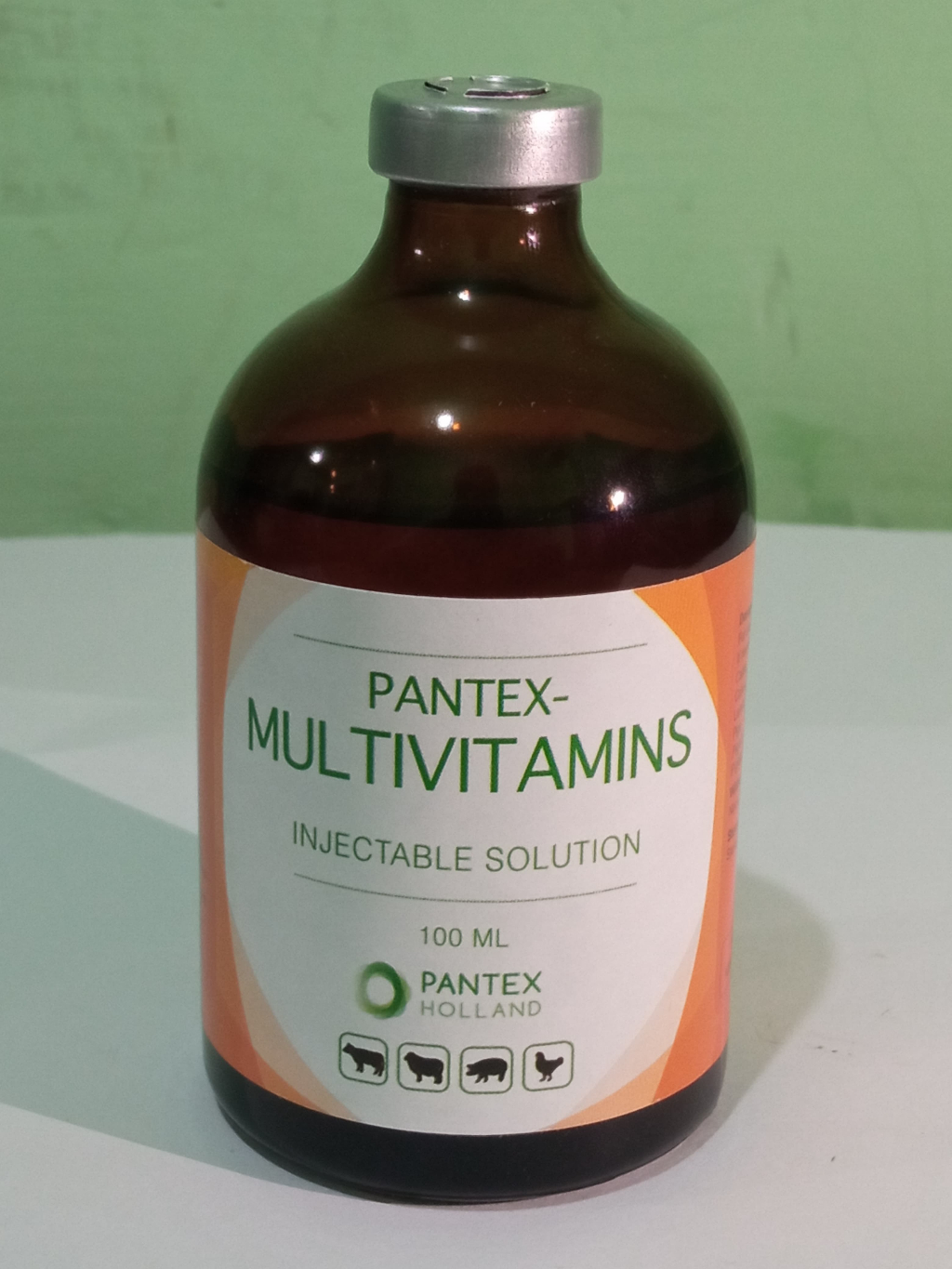 Jual PANTEX MULTIVITAMINS HOLLAND INJEKSI 100ml | Shopee Indonesia
