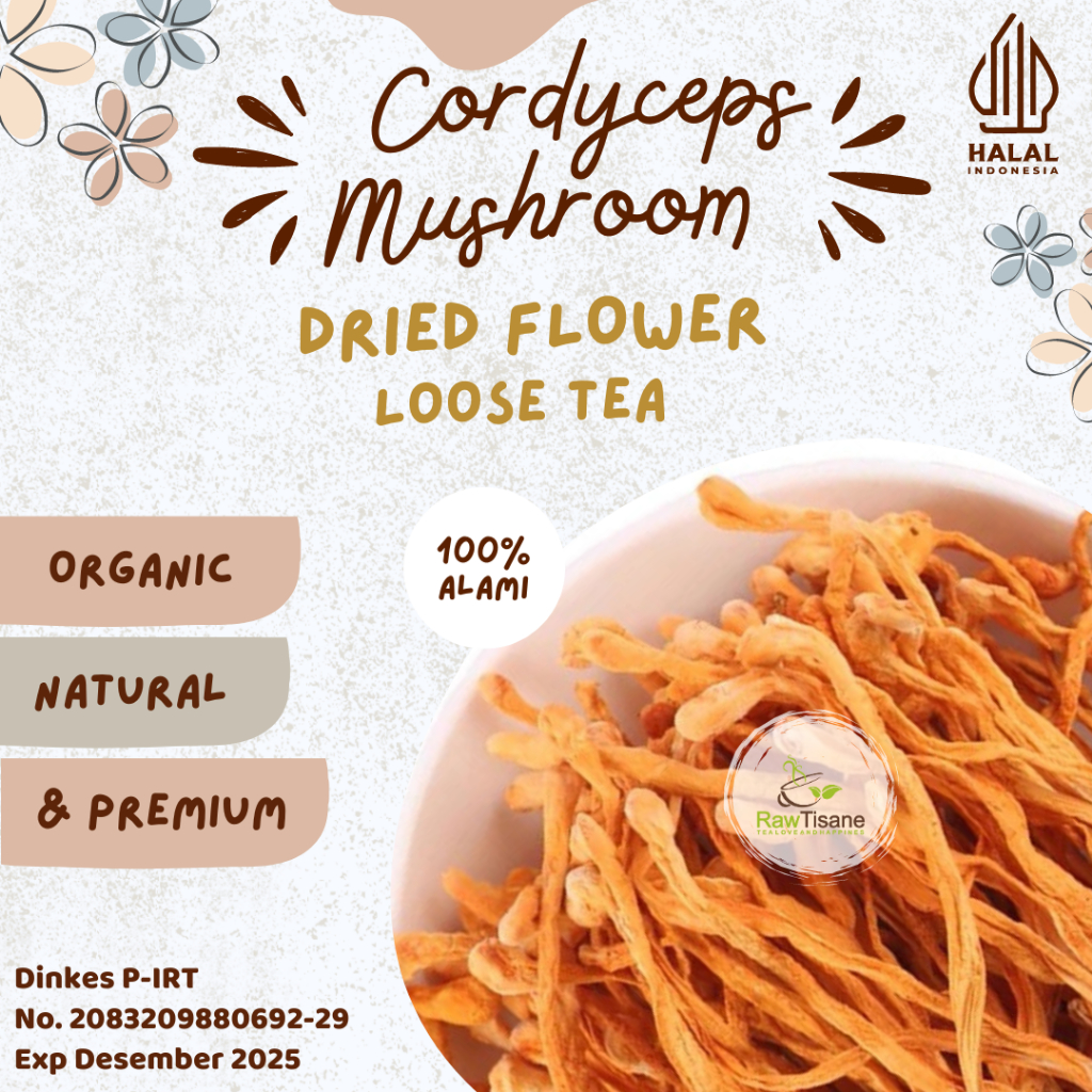 Jual RAW TISANE Cordyceps Mushroom Flower Tea Premium Quality / Teh ...