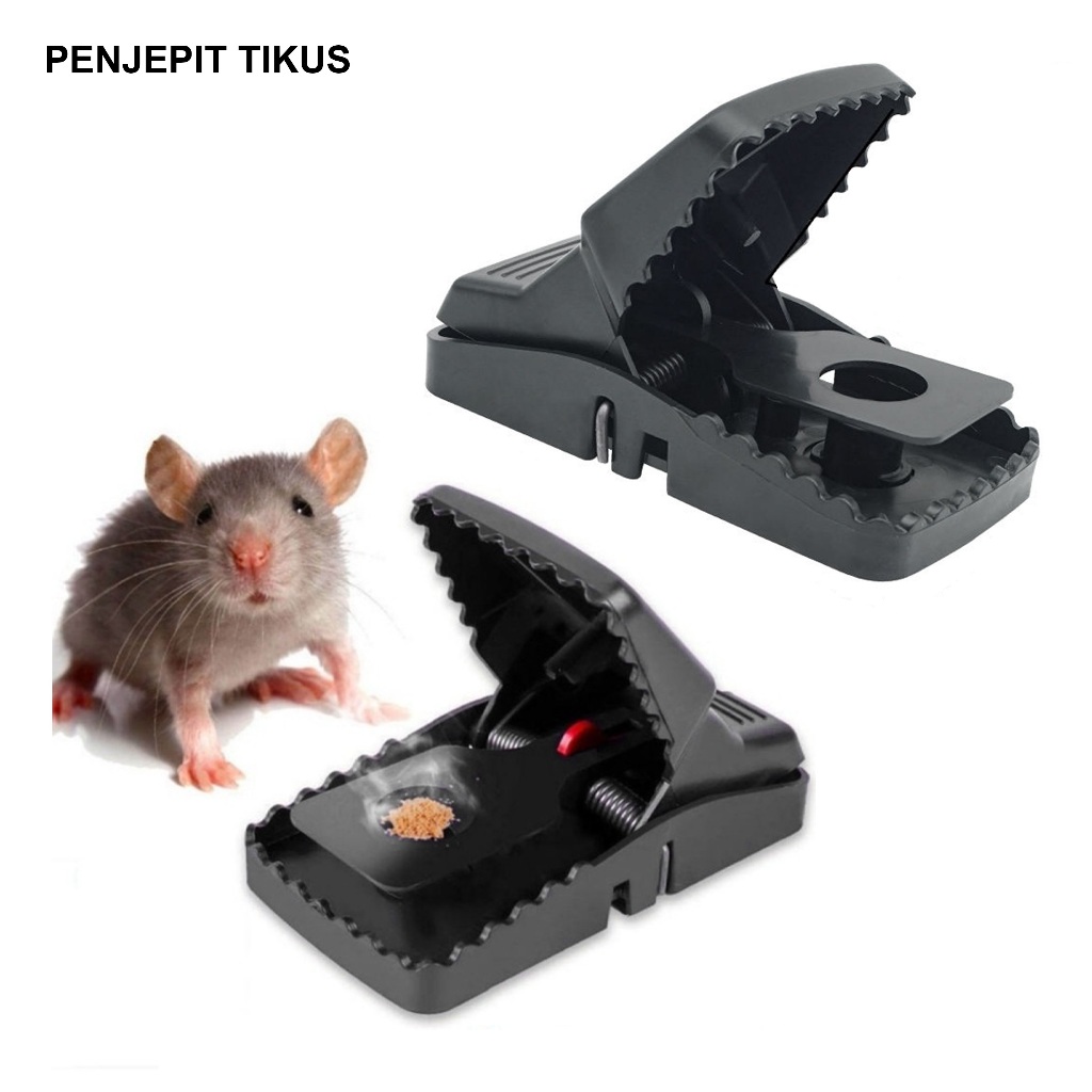 Jual Perangkap Tikus Jebakan Tikus Mouse Trap Premium Quality Alat ...