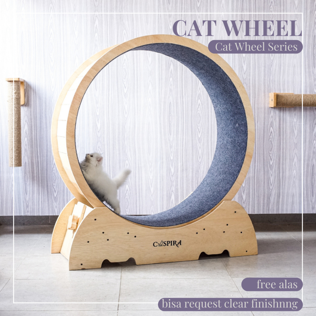 Jual Caspira - Cat Play - Kitten Toys - Garukan Kucing - Panjatan ...