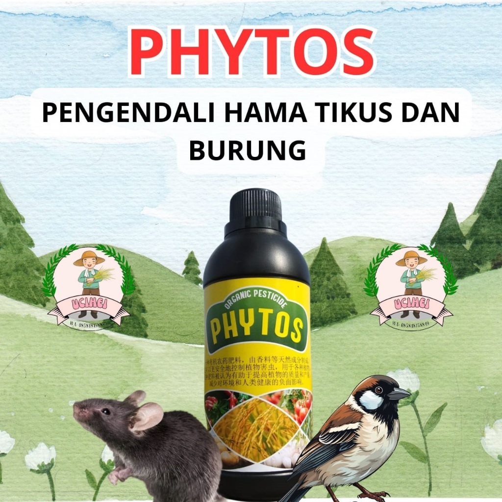 Jual PHYTOS Pestisida Rodentisida Insektisida Fungisida Ampuh Membasmi ... Jual PHYTOS Pestisida Rodentisida Insektisida Fungisida Ampuh Membasmi ...