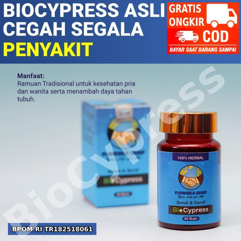 Jual BioCypress Original isi 40 Butir, Solusi Obat Herbal Sendi Saraf ...