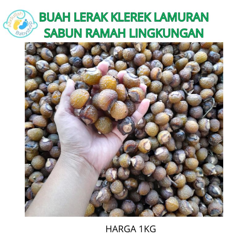 Jual PROMO Buah Lerak Soapnuts Soapberries Klerek 1 KG Utuh Untuk Cuci ...