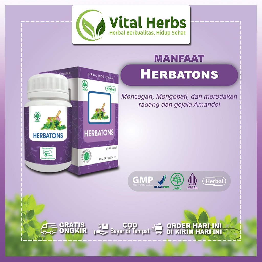 Jual Vital Herbs - Herbantons Obat Herbal Amandel Isi 60 Kapsul ...
