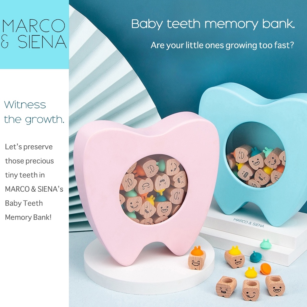 Jual ART M17A PREMIUM MARCO SIENA Tempat Kotak Penyimpanan Gigi Susu Bayi Kayu Wooden Baby Teeth ...
