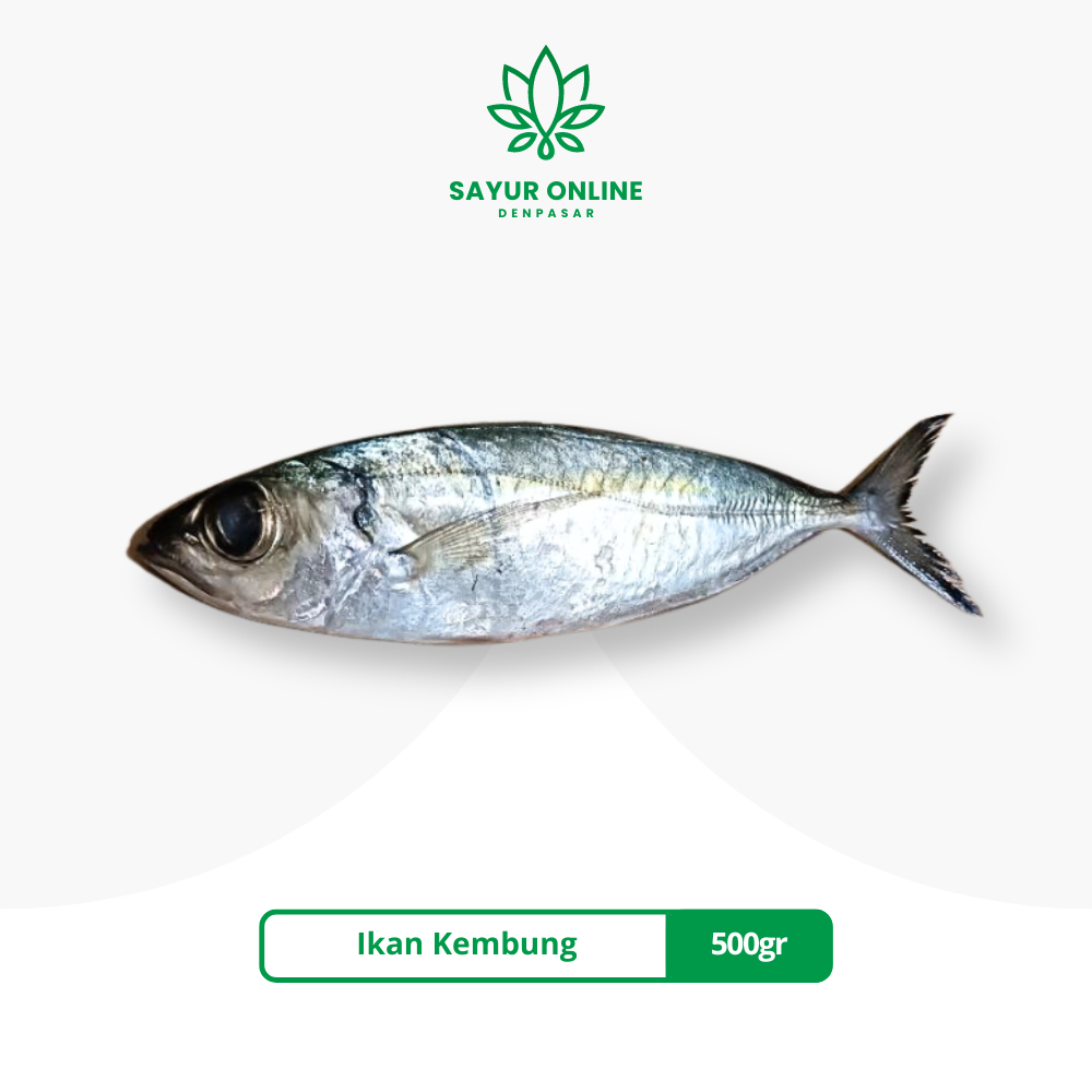 Jual Ikan Kembung Fresh Frozen 500gr - Sayur Online Denpasar | Shopee ...