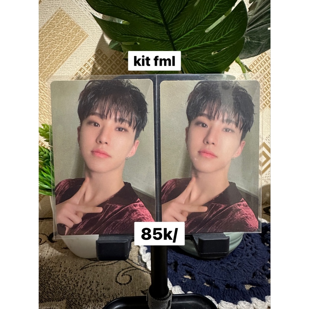 Jual Seventeen Photocard Hoshi Kit fml [baca deskripsi] | Shopee Indonesia