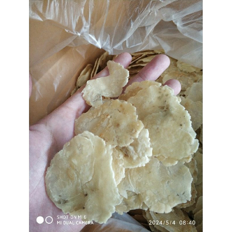 Jual EMPING MELINJO SORTIRAN || EMPING BS || RIJEKAN PABRIK || ASLI LIMPUNG || 500 gr | Shopee ...