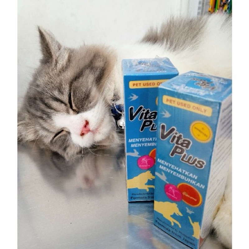 Jual Vitaplus vitamin kucing anjing kelinci 30ml | Shopee Indonesia