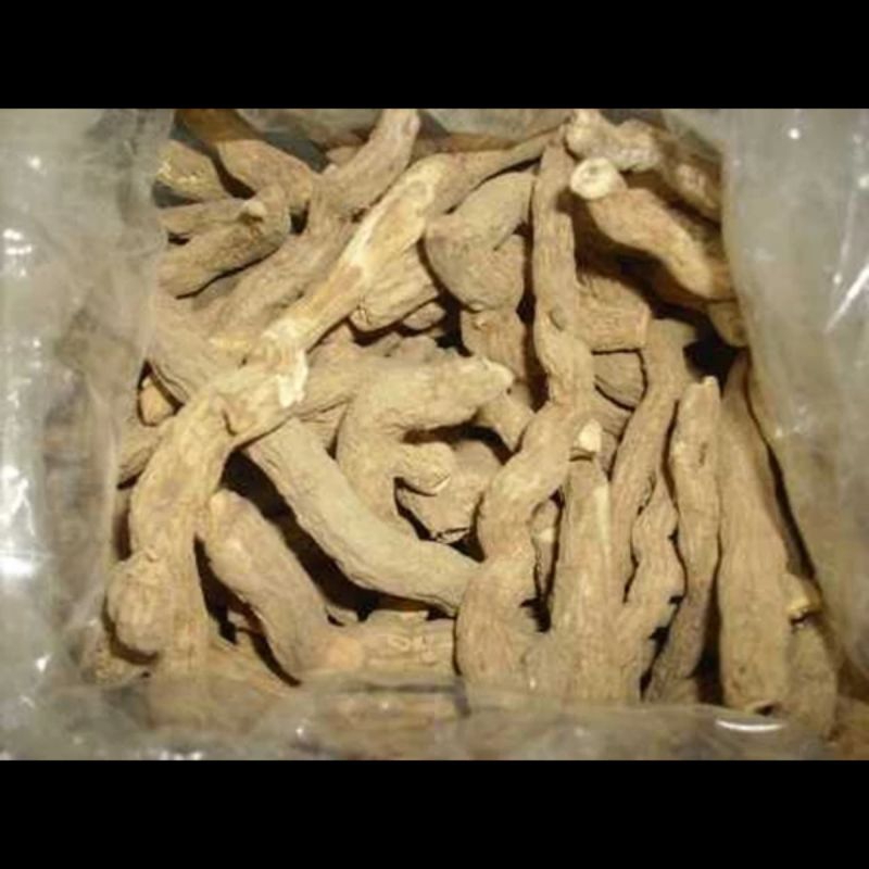 Jual Akar Pule Pandak Kering / Pulai / Rauvolfia Serpentina 1 Kg ...