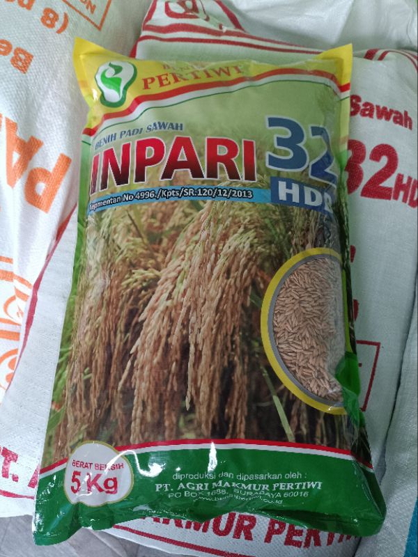 Jual Benih Padi INPARI - 32 5kg (exp. Maret 2026) | Shopee Indonesia