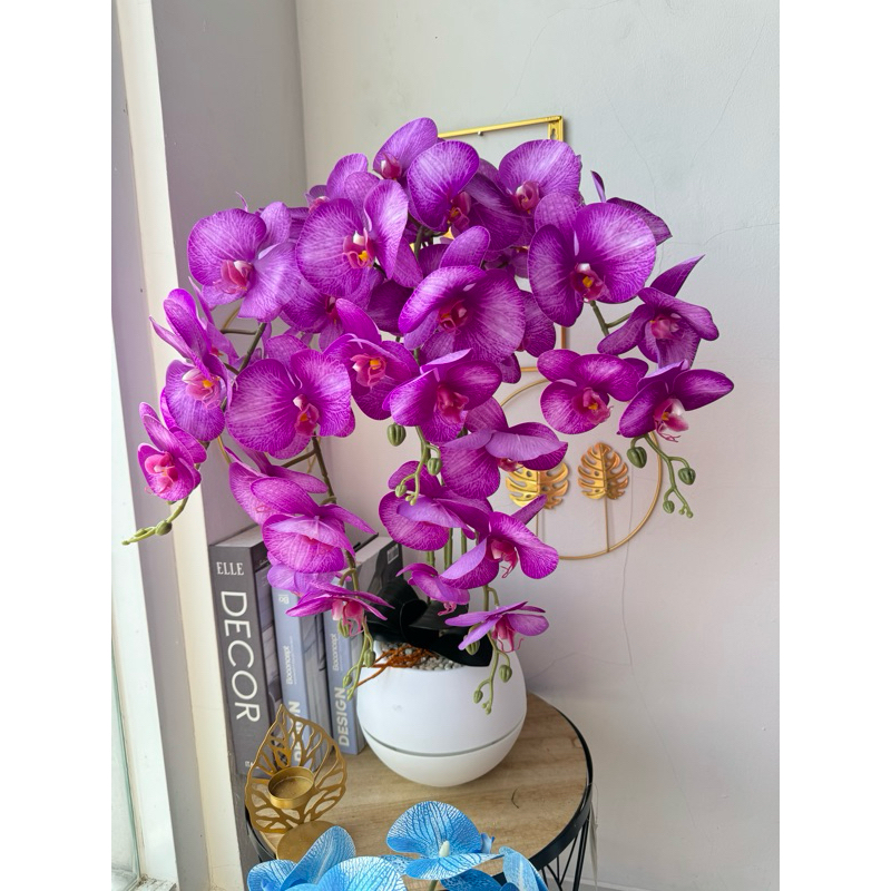 Jual Bunga anggrek cabang 5 super rimbun dengan vas bola | Shopee Indonesia