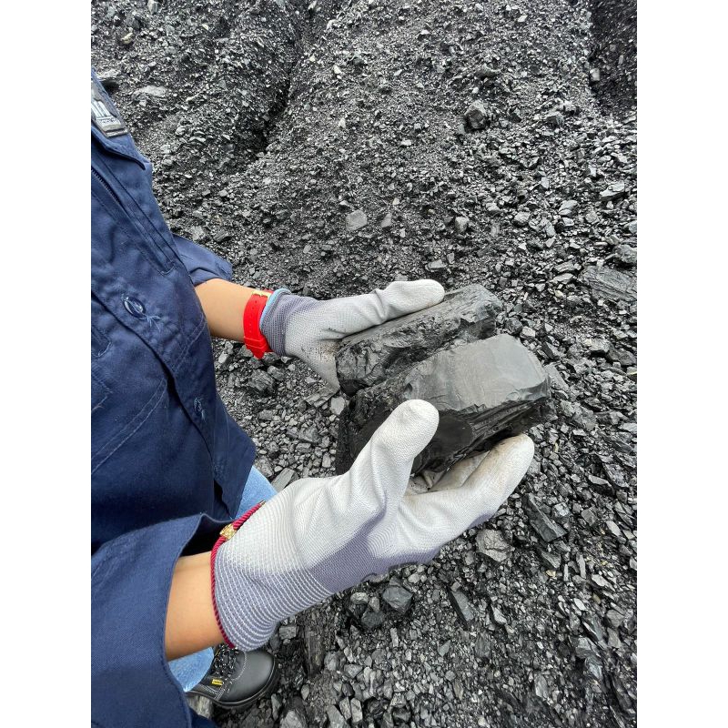 Jual Indonesian steam coal / batubara indonesia calory abd 55 53 / Gar ...