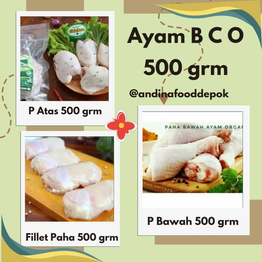 Jual AYAM BERKAH CHICKEN ORGANIK 500 GRM | FILET PAHA | PAHA BAWAH ...