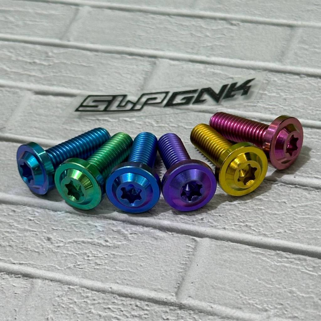 Jual Baut titanium m6 drat 10 big head | Shopee Indonesia