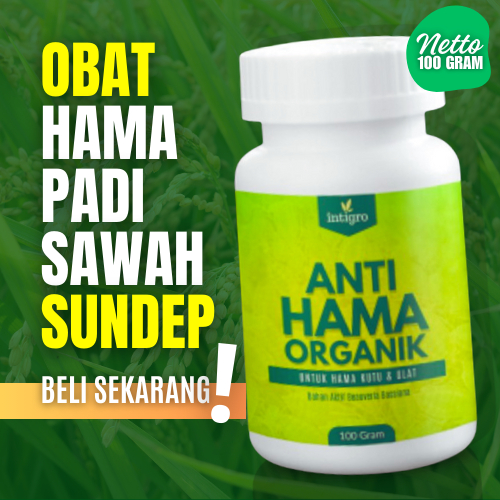 Jual Obat Pembasmi Hama Sundep Beluk Tanaman Padi Sawah Pestisida ...