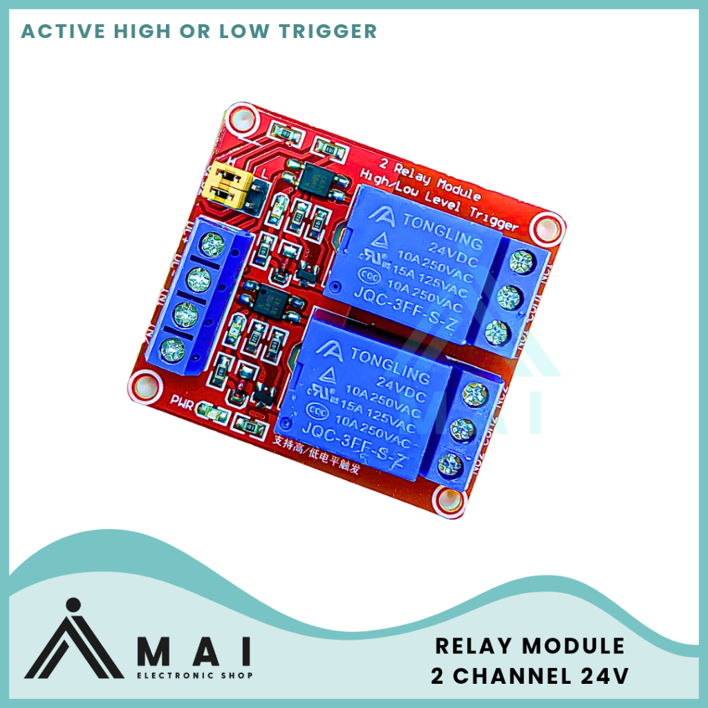 Jual Relay Modul 2 Channel 24V Aktif High and Low Trigger | Shopee ...