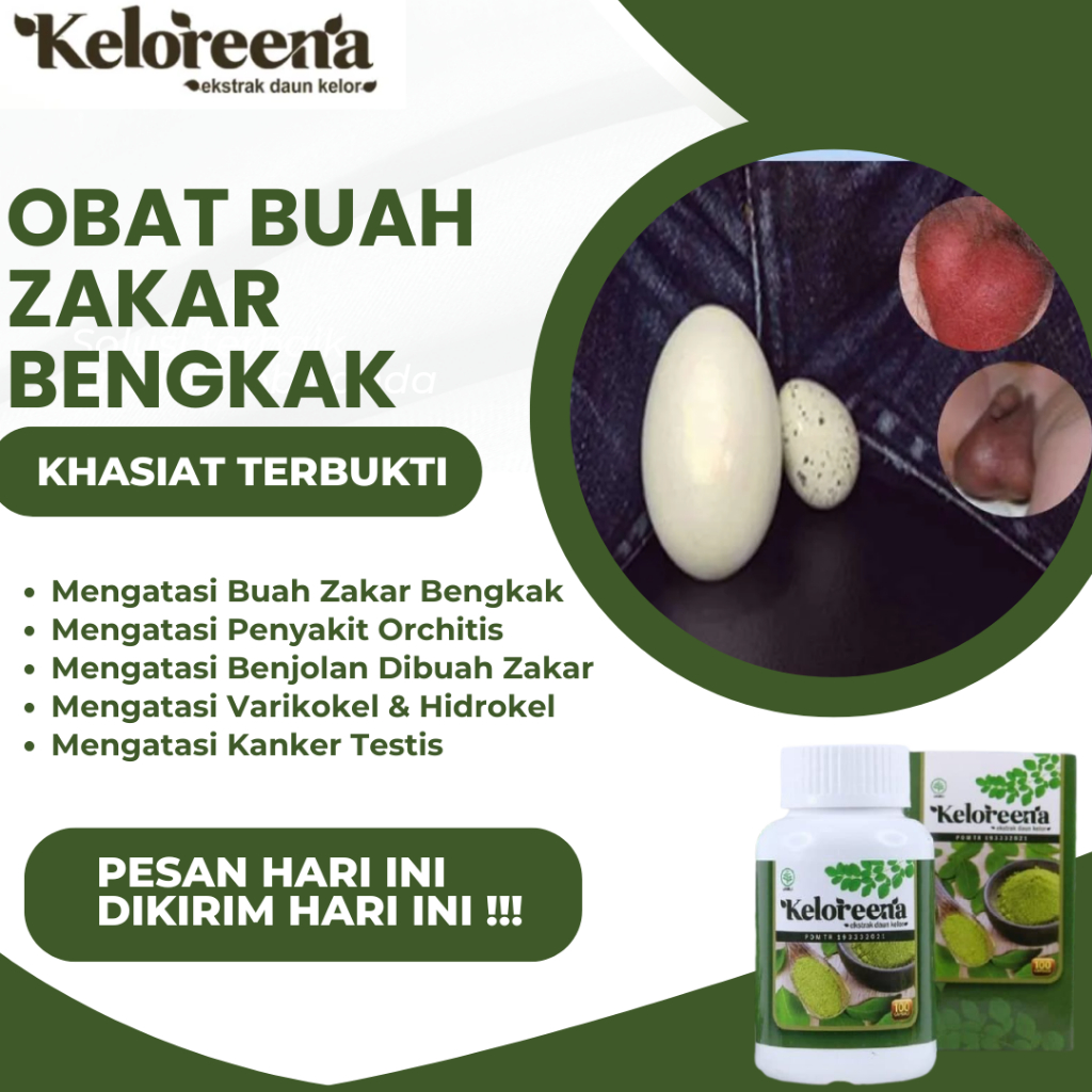 Jual Obat Buah Zakar Bengkak, Orchitis, Benjolan Di Kantong Buah Zakar, Varikokel, Hidrokel ...