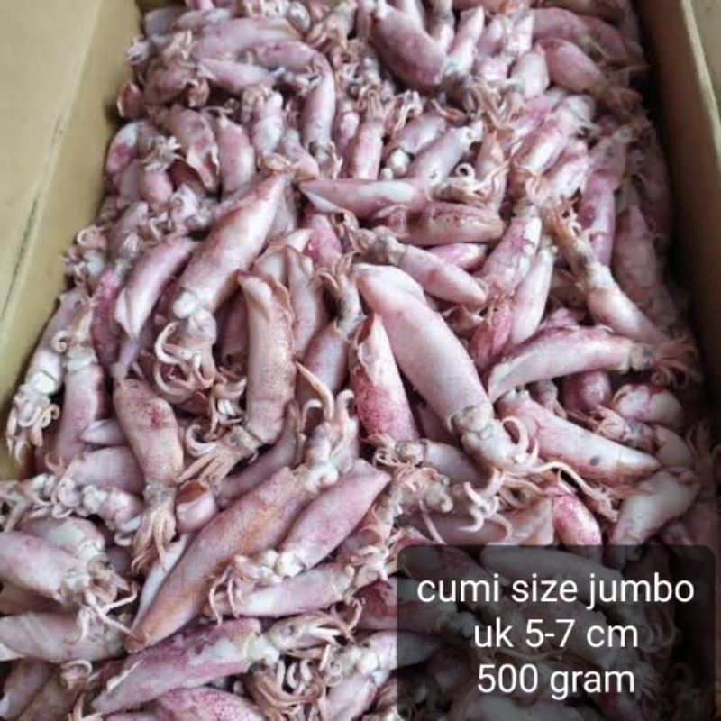 Jual cumi asin rebus size jumbo 500 gram | Shopee Indonesia