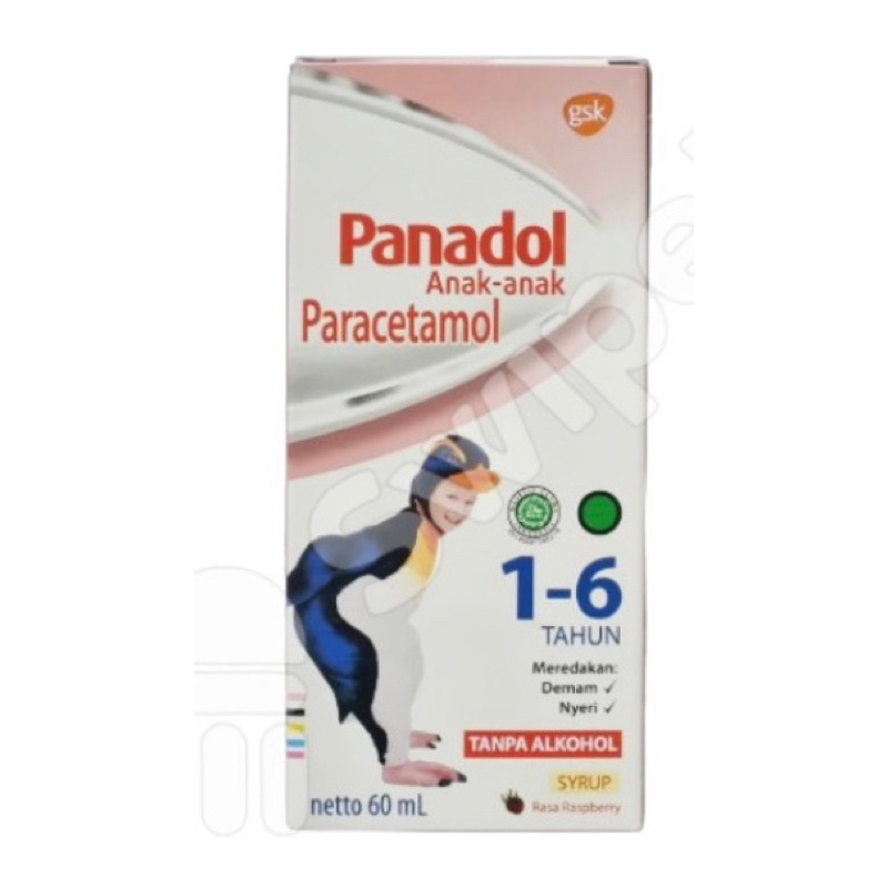 Jual PANADOL ANAK 1-6 Thn Gsk SIRUP 160 MG/5 ML 60ML PER BOTOL | Shopee ...