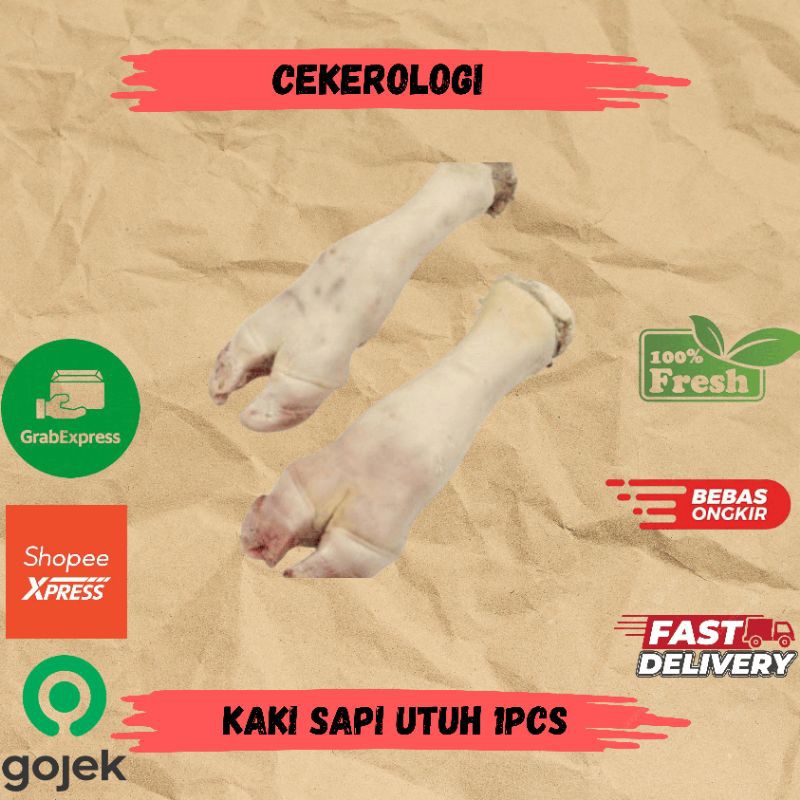 Jual Kaki Sapi Utuh 1pcs / Kaki Sapi Utuh / Kaki Sapi / Kaki Sapi Fresh ...