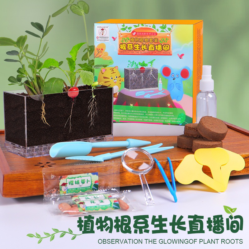 Jual Science toys Mainan observasi pertumbuhan tanaman observasi akar ...