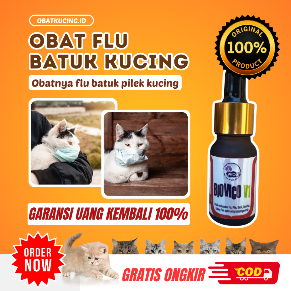 Jual Biovico V1 Antibiotik obat flu batuk pilek demam kucing | Shopee ...