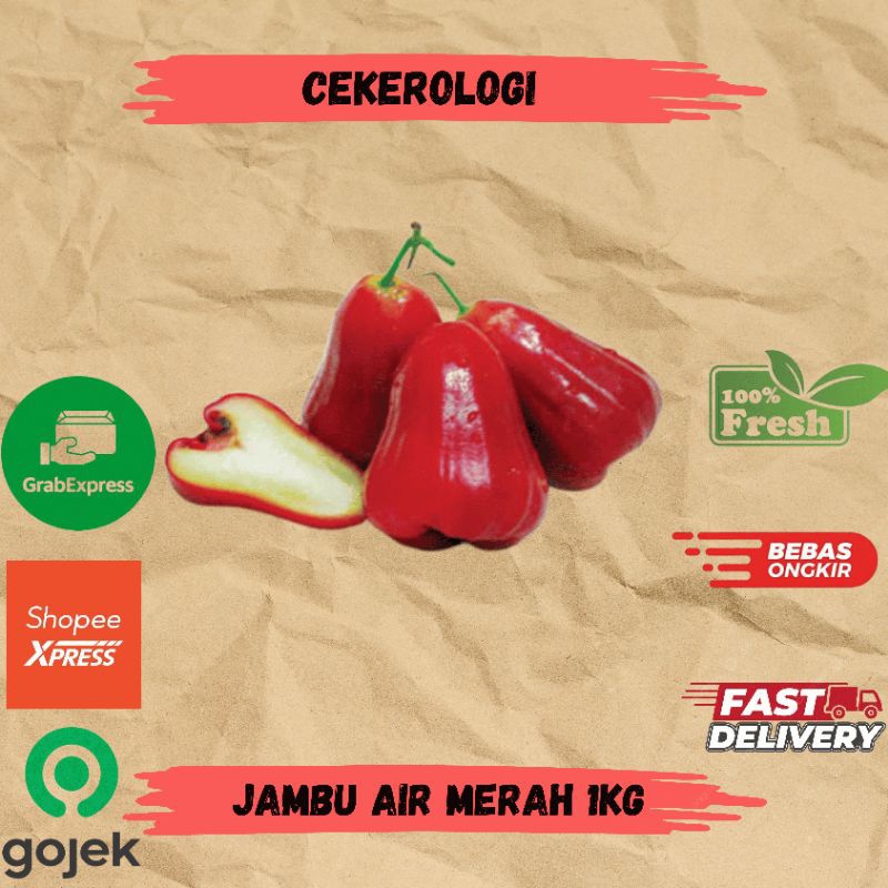 Jual Jambu Air Merah 1kg / Buah Jambu Air Merah / Jambu Air Merah Fresh ...