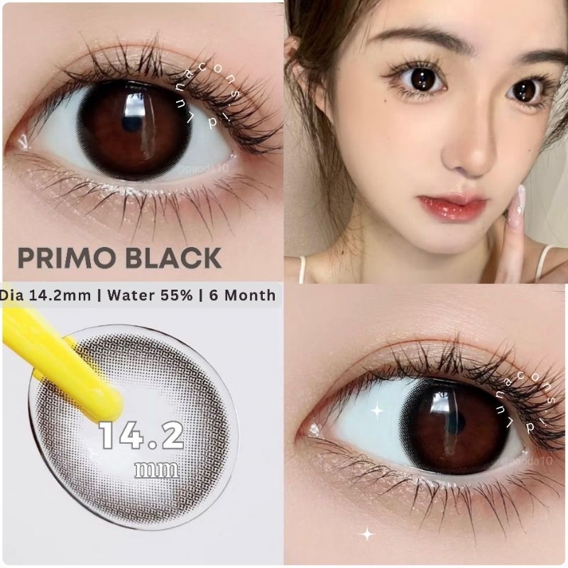 Jual Softlens Kitty Kawaii Mini Primo Black Hitam Dia.14.2 mm Normal ...
