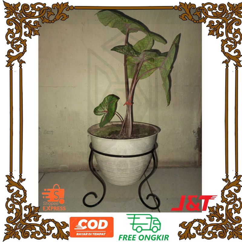 Jual Standing Pot Besi Unik/ Rak Bunga besi Unik Hias Diameter 20 cm ...