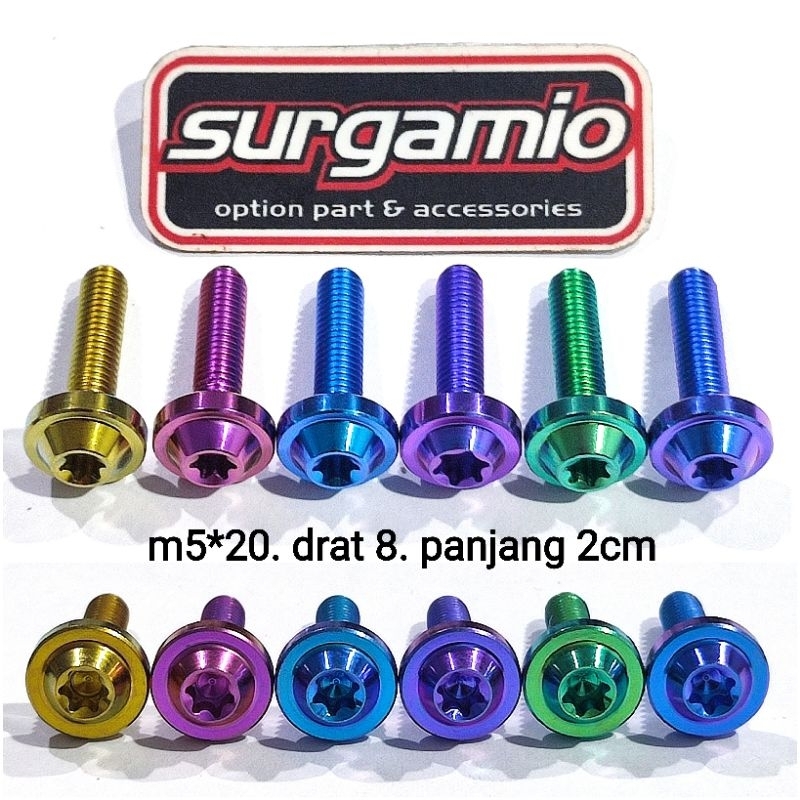 Jual Baut titanium 5x20 big baut titan drat 8 panjang 2 cm Grade 5 ...