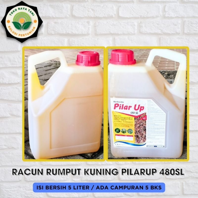 Jual Jual Racun rumput Herbisida Isi 5 liter Pilarup Racun rumput ...