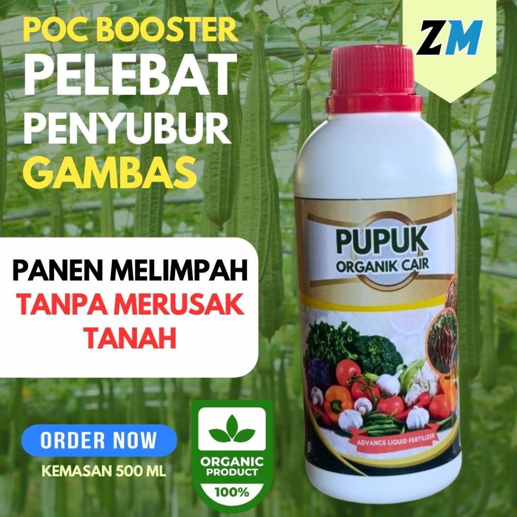 Jual Pupuk Pelebat Buah Anti Rontok Gambas Pupuk Organik Buah Oyong Booster Cair Pelebat Buah ...