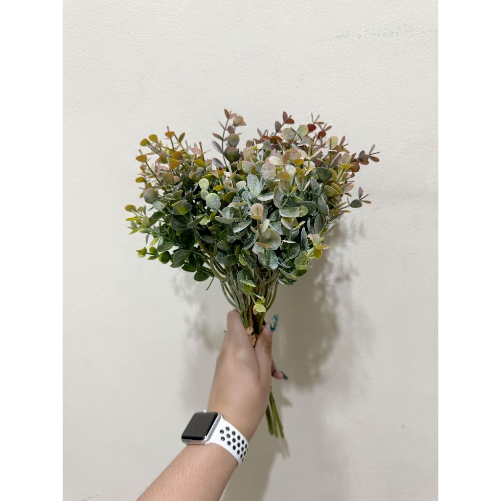 Jual Eucalyptus Tangkai Kawat Gradiant Musim Harga Pertangkai | Shopee ...