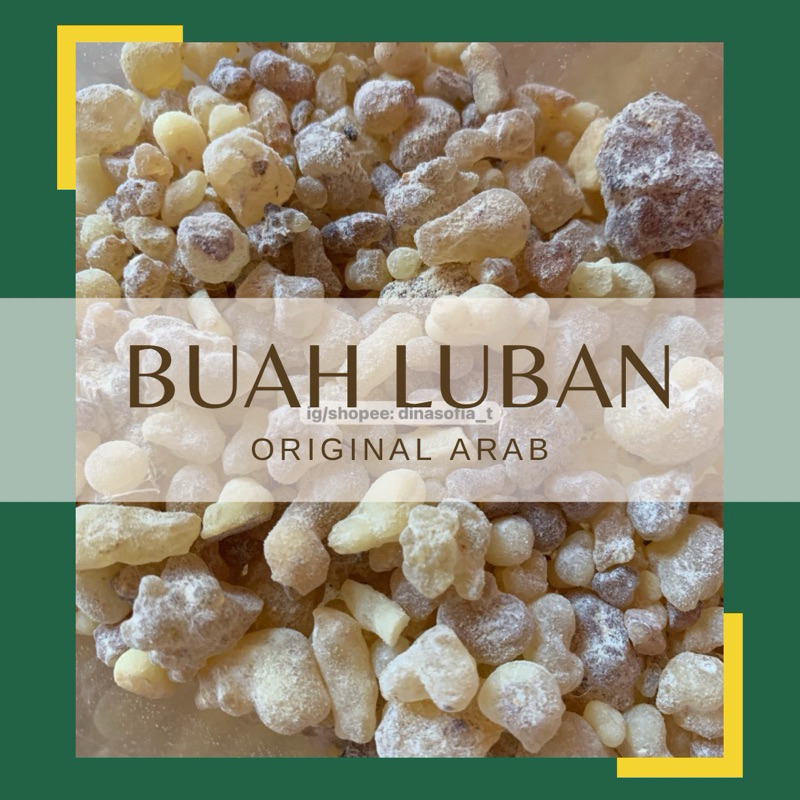 Jual Luban Dakar Mustaki / Luban Arab / Original Luban Frankicense ...