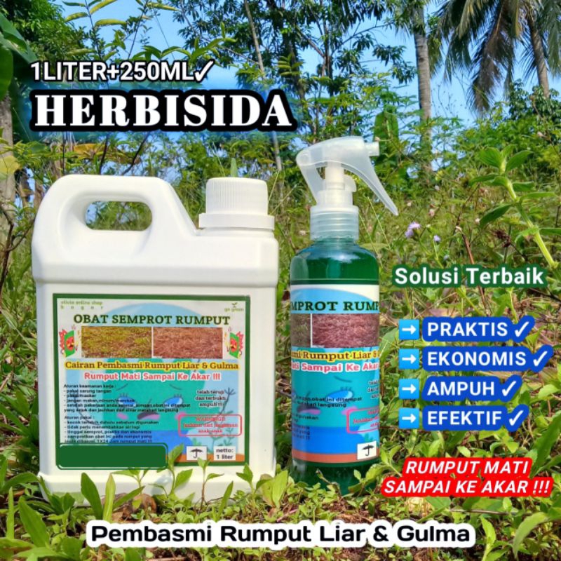 Jual Cairan Pembasmi Rumput Liar & Gulma/Herbisida/Rumput Mati Sampai ...