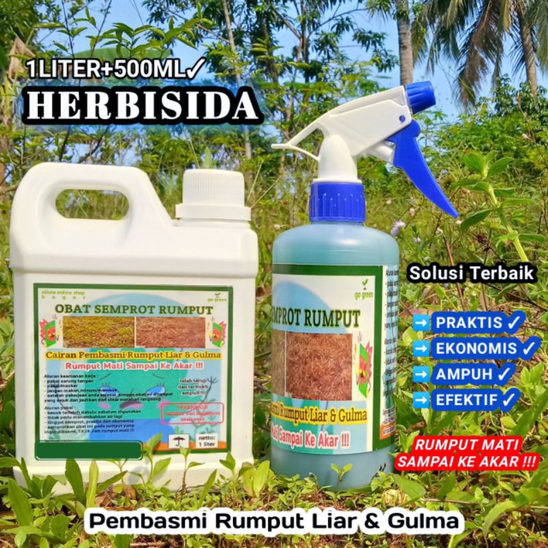 Jual Cairan Pembasmi Rumput Liar & Gulma/Herbisida/Rumput Mati Sampai ...